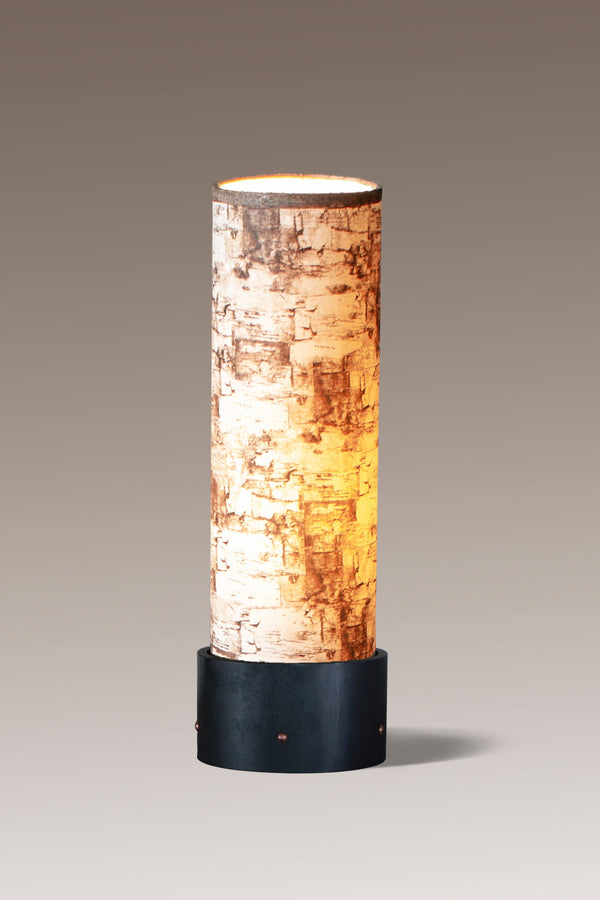 Steel Luminaire Accent Lamp with Birch Bark Shade - Janna Ugone & Co